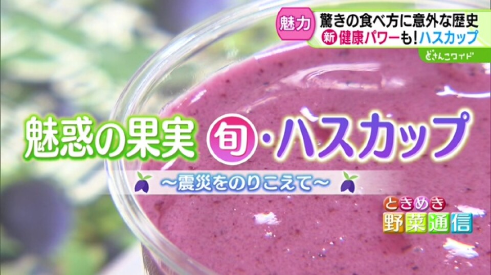 ときめき野菜通信〜魅惑のハスカップ 2025-07-02 | STVどさんこ動画＋